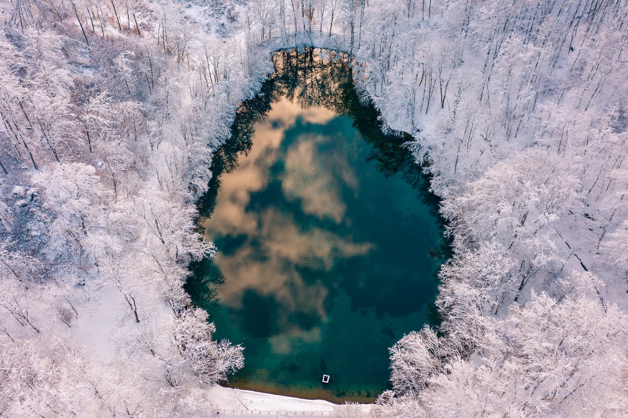 Proactive Winter – diy.SePRO.com