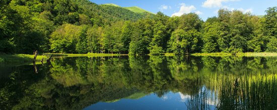 EutroSORB G – diy.SePRO.com