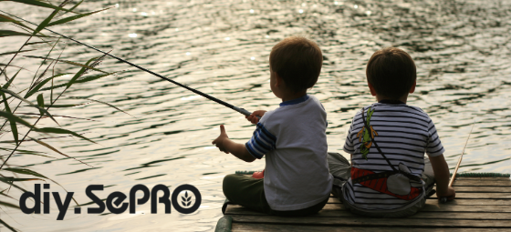 Solutions to Create an Extraordinary Pond – diy.SePRO.com