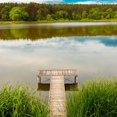 SePRO Solutions for Algae Control – diy.SePRO.com