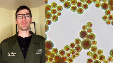 Labs – diy.SePRO.com